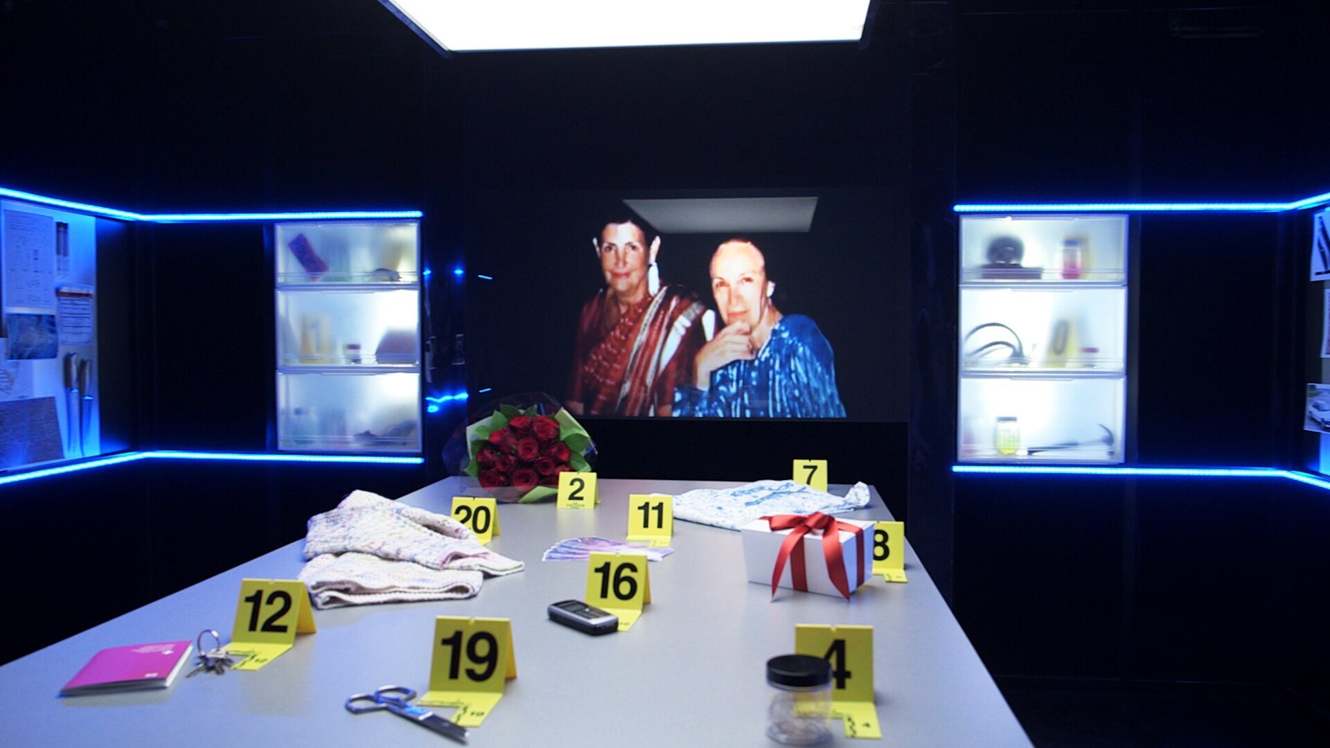 Douanes sous haute surveillance (Bizarre Behaviour at the Baggage ...